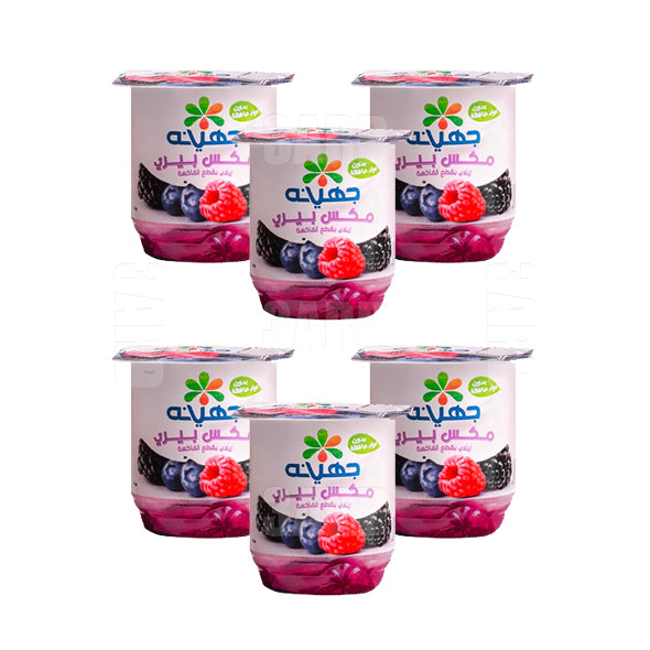 Juhayna Yogurt with Mix Berry 105g - Pack of 6 – 3ard